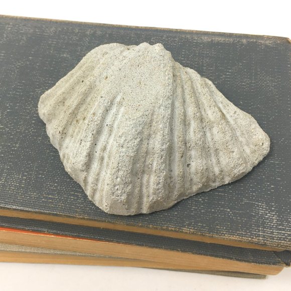 Hand Crafted | Art | Concrete Shell Paperweight Beach Garden Decor ...